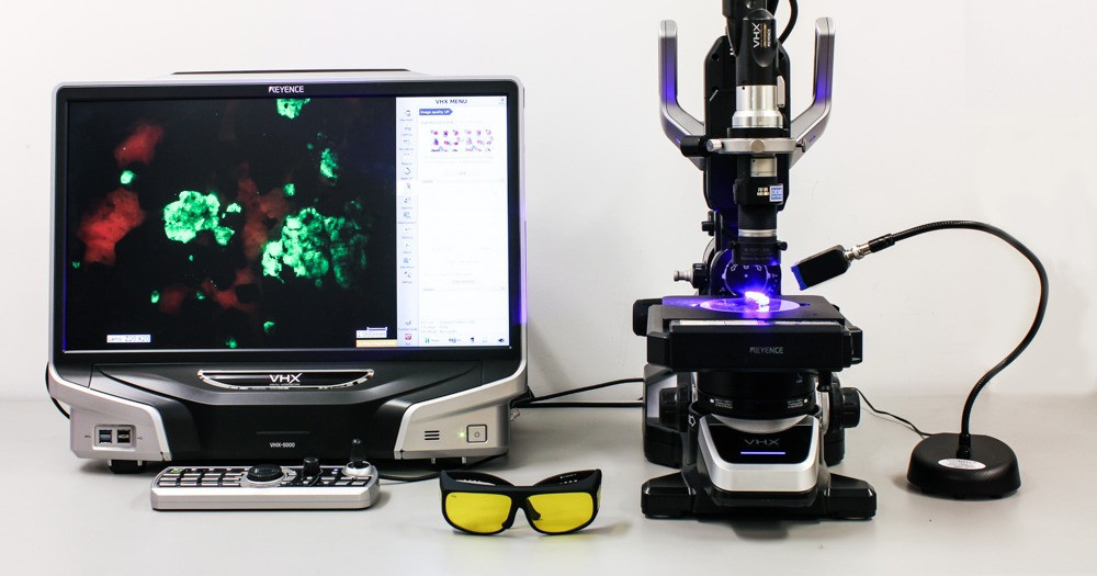 Scanning Electron Microscopes | Laboratory Equipment